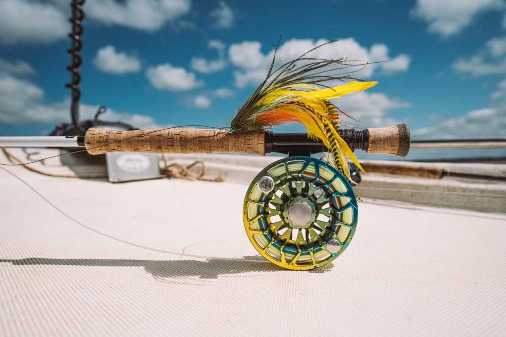 Fly Fishing Golden Dorado – Set Fly Fishing