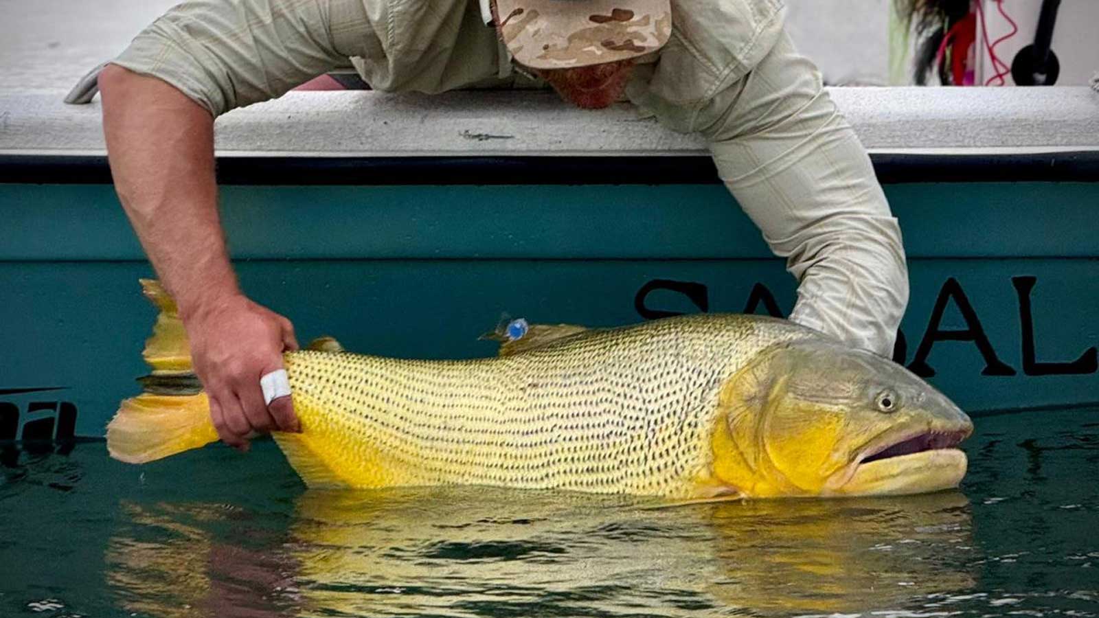 Best Practices for Catch-and-Release – Each Fish Matters – Set Fly Fishing