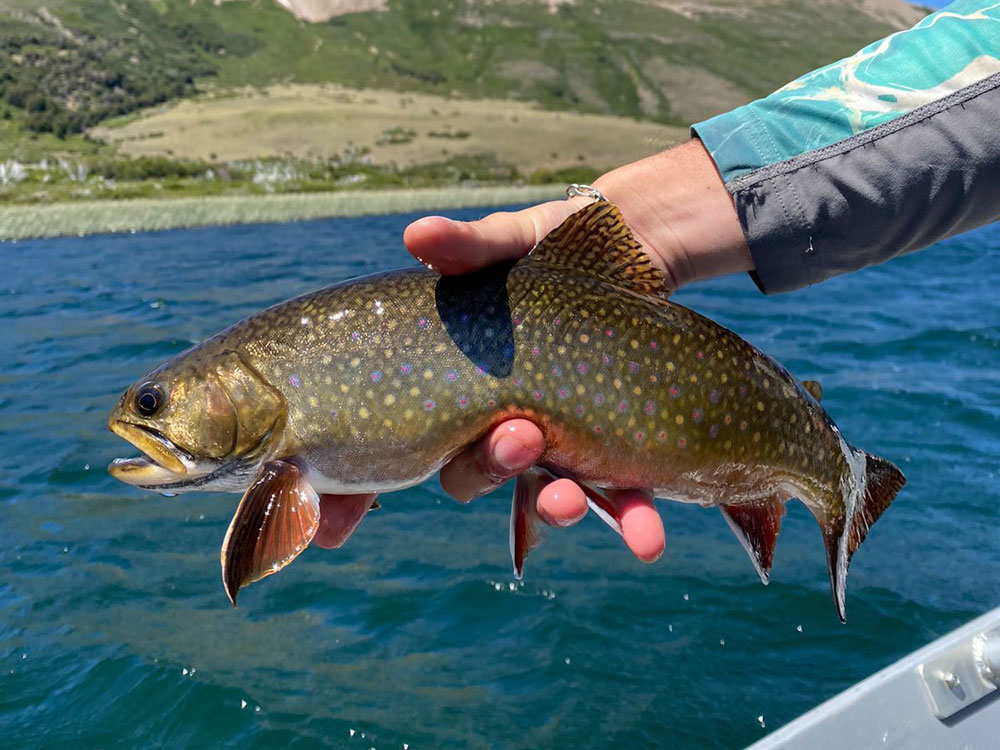 rakin – Set Fly Fishing
